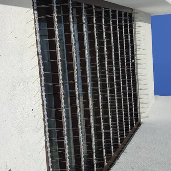 fixing boundary spikes – jabal sanine
