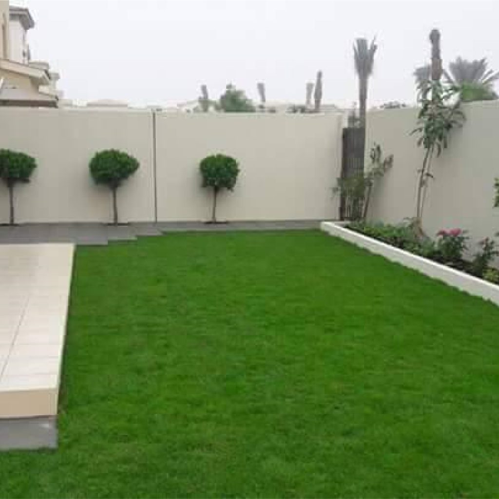 Landscaping – jabal sanine